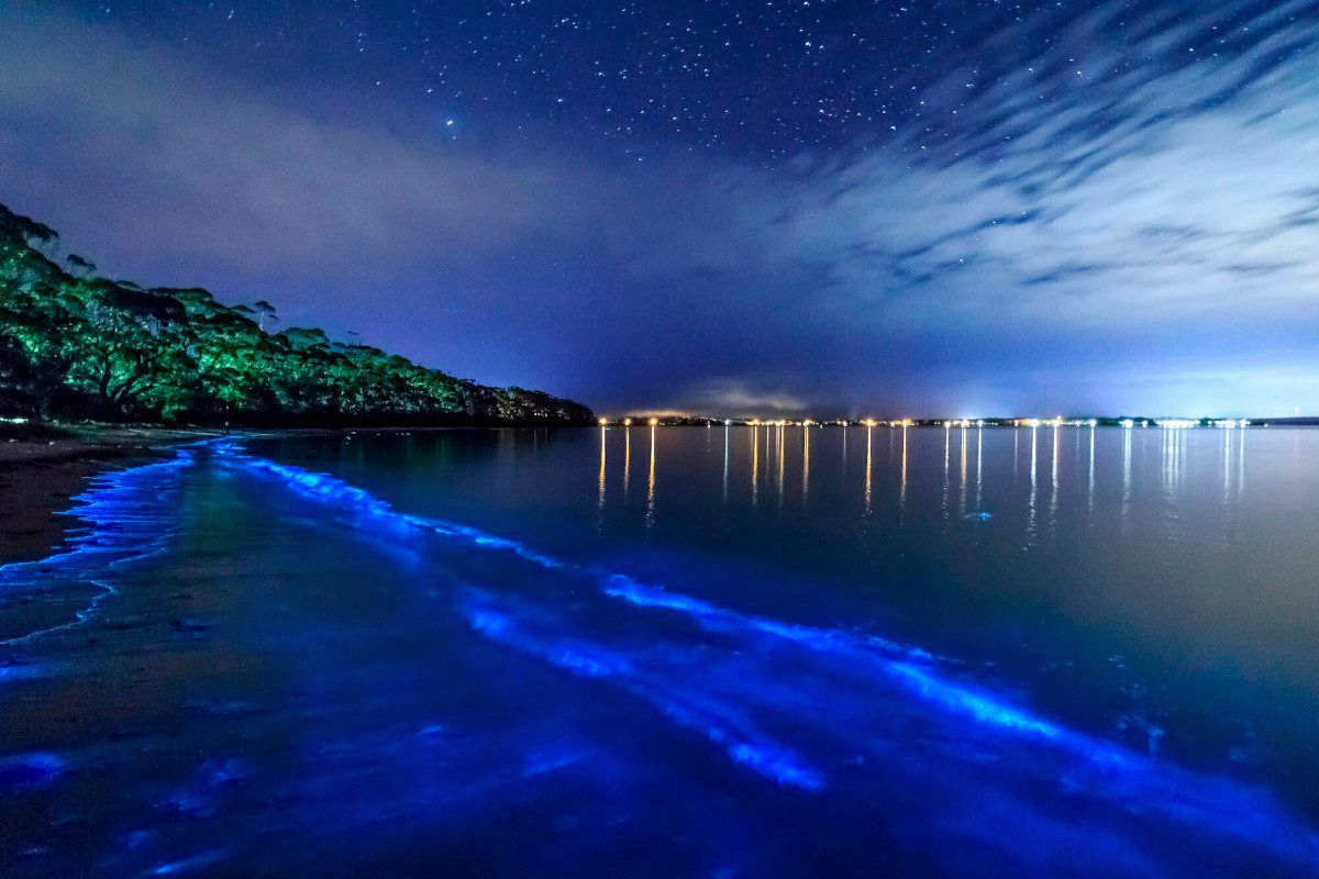 7 Most Active Bioluminescent Beaches Around The World