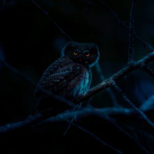 Night Photography: Settings, Gears & More (Complete Guide)