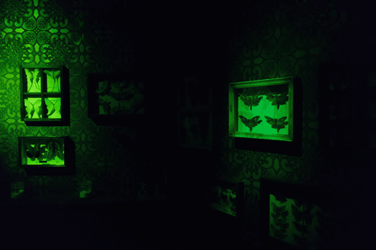 Japanese Haunted Houses: Everything You Need to Know Before Visiting ...